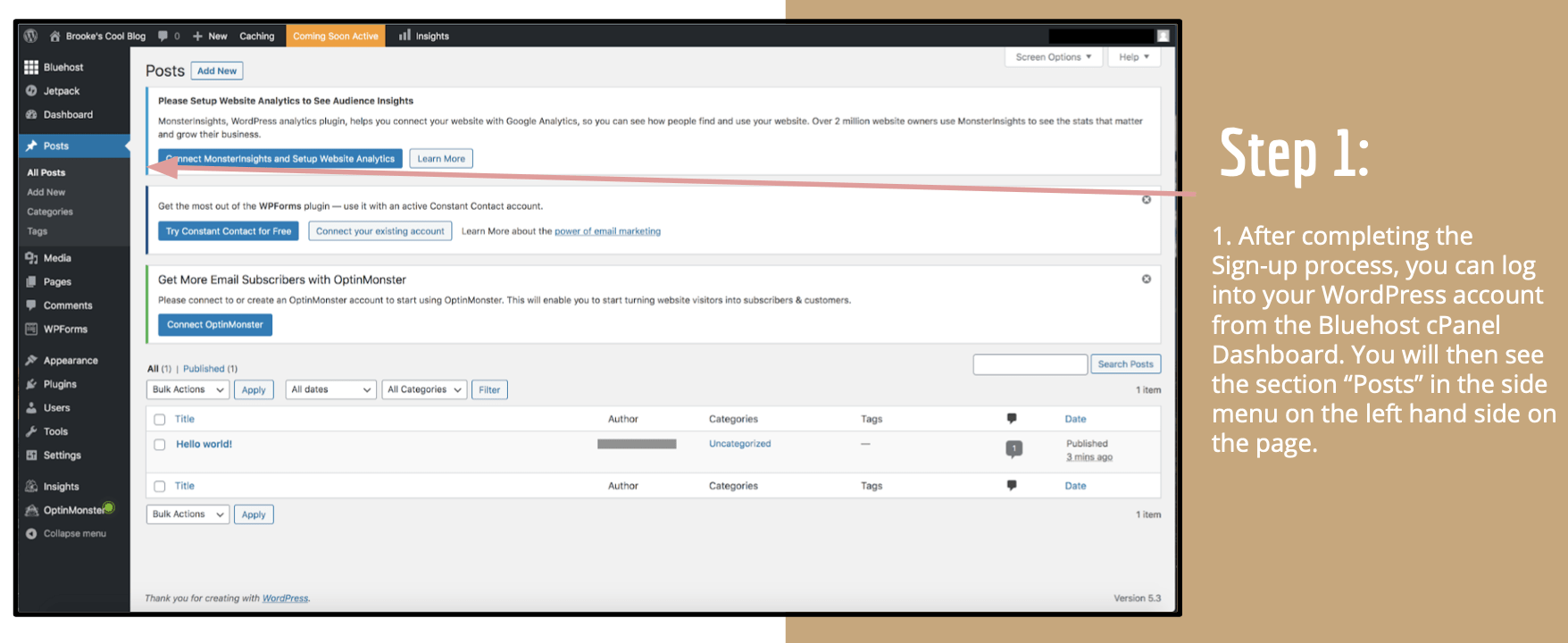 How To Publish A Blog Post On WordPress Easily how-to-publish-a-blog-post-on-wordpress-easily