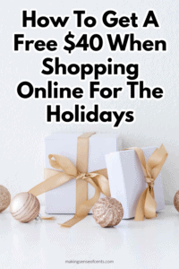 How To Get A Free $40 When Shopping Online For The Holidays + $100 ...