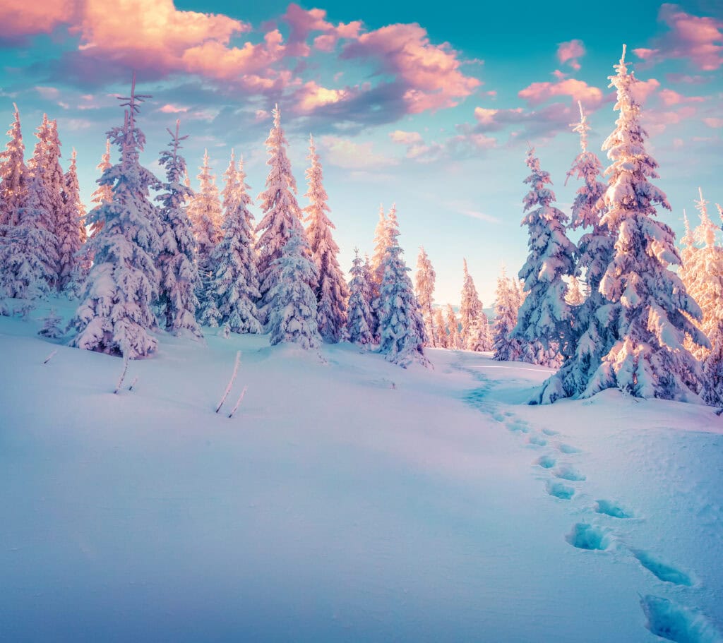 24 Best Winter Side Hustles To Make Extra Money