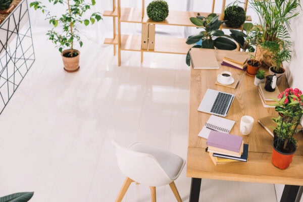 How To Start a Business With No Money (Here’s How I Did It)