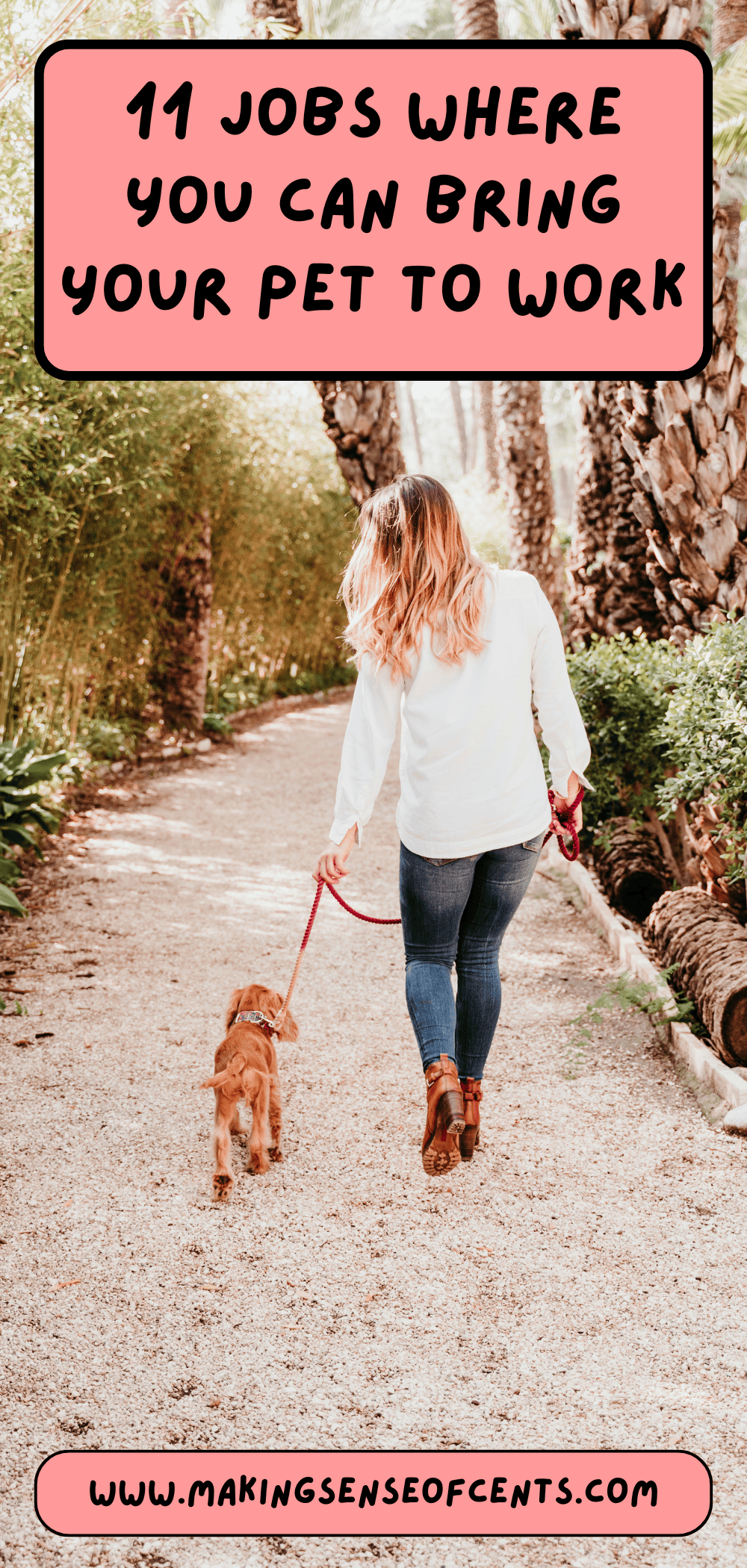 11 Jobs Where You Can Bring Your Pet to Work